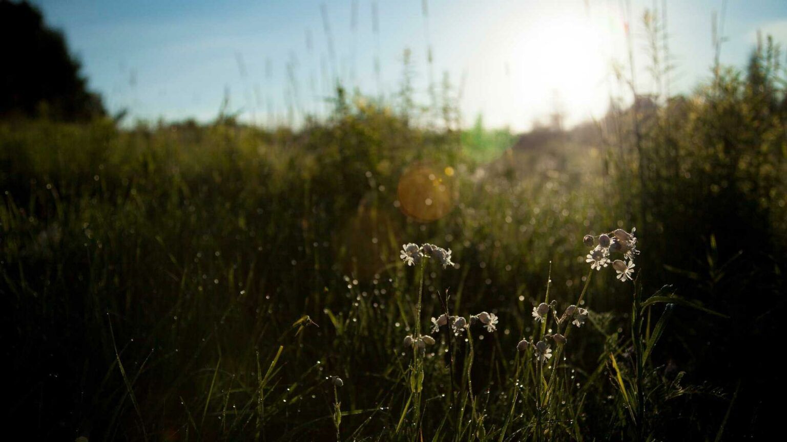 Stretcher Guide: Types, Uses, and How to Choose the Right One