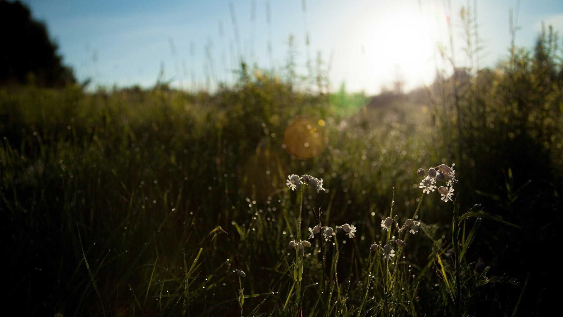 Lifeguard Backboard Safety and Use Guide - Jiekang